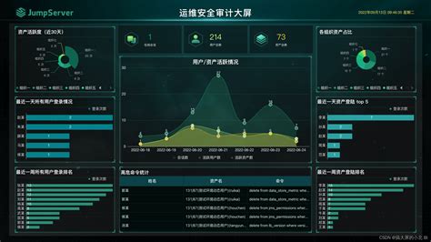 dataease 做出来好看吗？ dataease怎么做文本框内容滚动动态展示 csdn博客