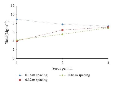 The Interaction Effects Of Plant Spacing 0 16 M 0 32 M And 0 48 M