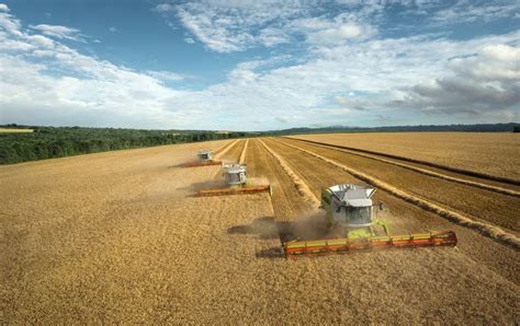 Moissonneuse Batteuse Claas Lexion 780 740 Trémie 12800l Aps Hybrid