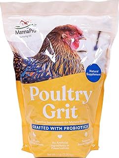 When To Introduce Grit To Chicks A Complete Guide Cychicken