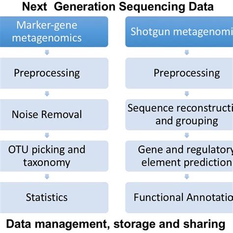 Two Workflows Of Analysis Processes In Metagenomics On Next Generation Download Scientific