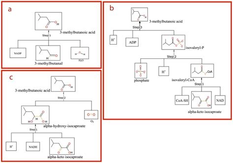 The Retrosynthesis Trees Correspond To The Pathways Shown In Figure 2 Download Scientific