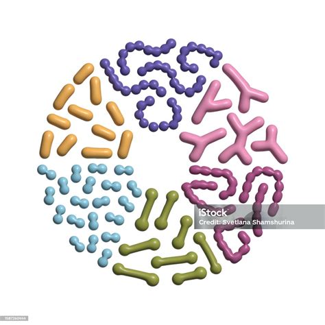 3d 렌더링 프로바이오틱 박테리아 유형을 원 모양으로 설정합니다 건강한 프리바이오틱 간균이 함유된 좋은 미생물군 락토바실러스 연쇄상구균 비피더스균 및 기타 미생물 볼륨 단순