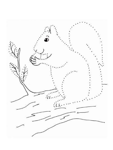 Drawing With Dots Squirrel Pdf