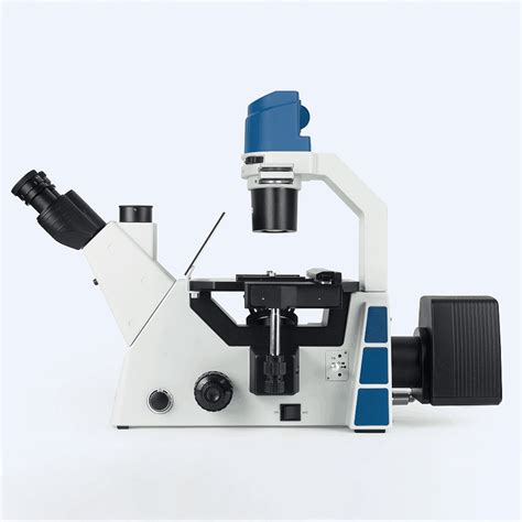 Bs 2091f Inverted Fluorescent Biological Microscope
