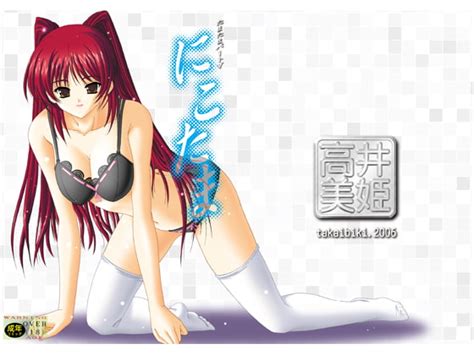 にこたま 暴走不発団 Dlsite 同人 R18