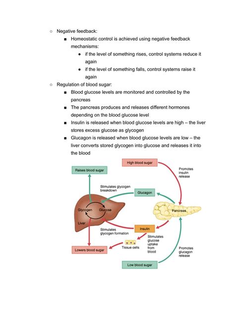 Biology Study Notes Form 5 Biology Form 5 Spm Thinkswap