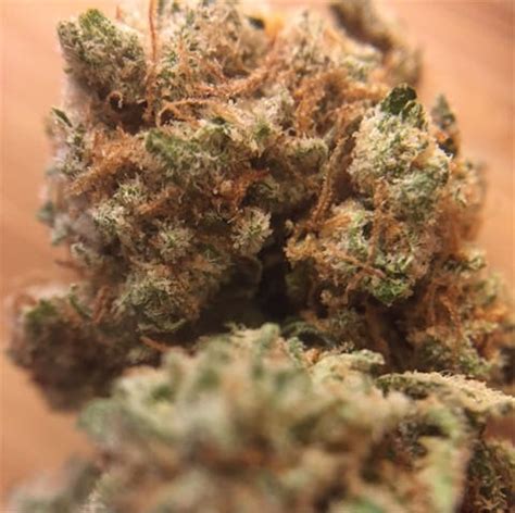 The White Aka White Weed Strain Information Leafly