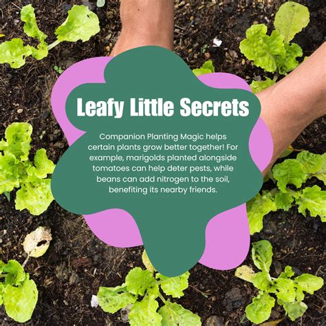Plant And Plot 🌿 Leafy Little Secrets 🌿 Did You Know That Facebook