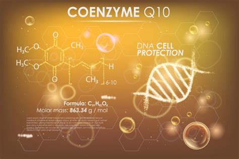 The Power Of Coenzyme Q10 In Dietary Supplement Formulations Mtc Industries