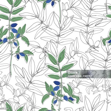 흰색 배경에 허니 서클 베리와 원활한 패턴 라인 아트와 실루엣 추상적인에 대한 스톡 벡터 아트 및 기타 이미지 추상적인 0명 가막살나무 Istock