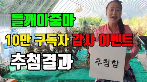 들깨아줌마 10만 구독자 감사 이벤트 추첨결과 발표합니다 참여해주신 모든분께 감사드립니다 Youtube