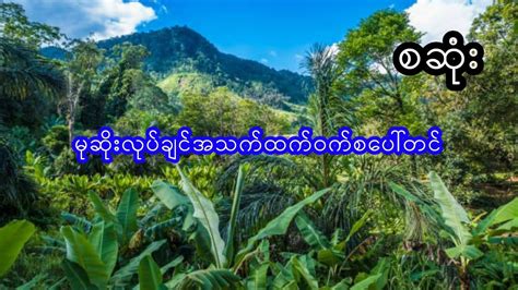 မုဆိုးလုပ်ချင်အသက်ထက်ဝက်စပေါ်တင် စဆုံး Youtube