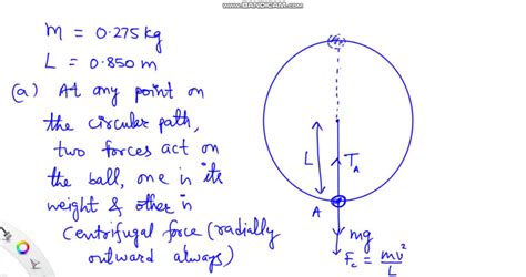 solved a 100 gram ball on a 60 cm long string is swung in a vertical