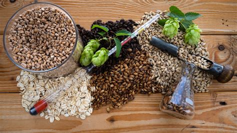 Viel Malz Vom Feld In Die Flasche Schweiz Tourismus