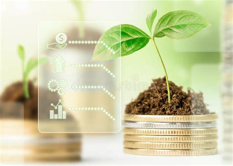 Seedling Growing From A Column Of Coins Stock Image Image Of Growth