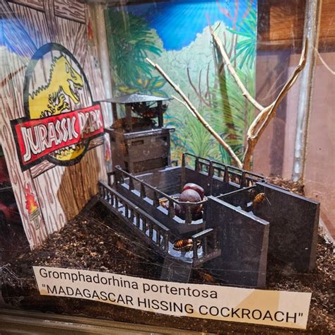 Jurassic Park Decor Etsy