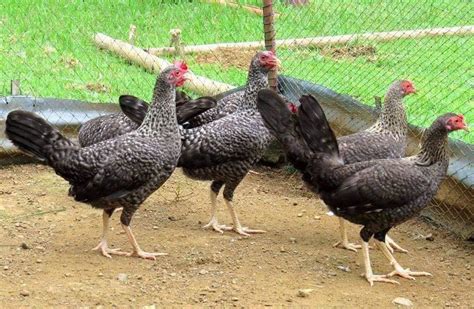 Jayson Garces Jayson Garces Added A New Photo