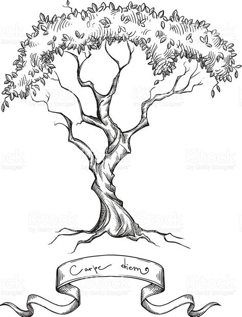 Tree Trunk Drawing At GetDrawings Free Download