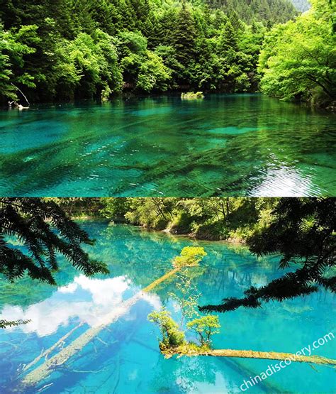 Blog Chinatur Turismo Em Sichuan Pelo Vale Jiuzhaigou