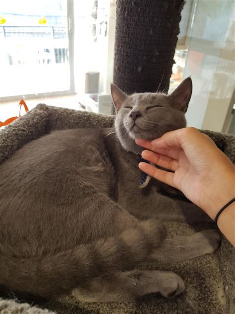 8 Questions Withactress Ruby Lott The Inner Circle