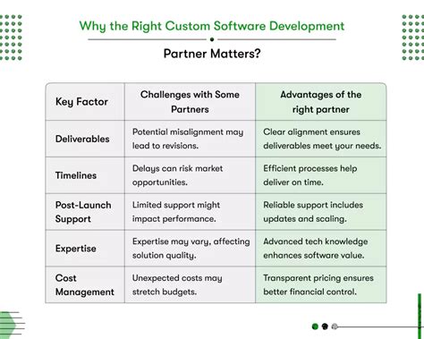 How To Choose The Best Custom Software Development Partner