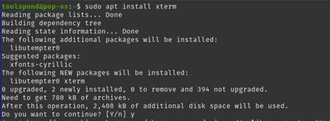 2 efficient fixes for xterm display is not set tools pond
