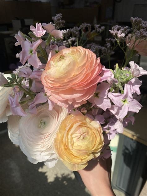 [17주차 꽃선물]라넌큘러스 하노이and베네르 스톡의 꽃말 네이버 블로그