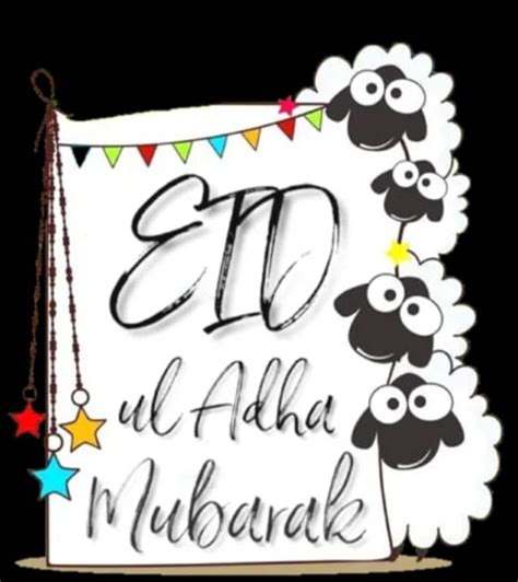 Mehwish Iftikhar Posted On Linkedin