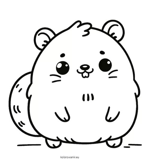 Chomik Kolorowanka Kolorowankieu