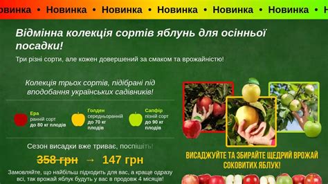 Колекція сортів яблунь різного терміну плодоношення аби врожай був весь сезон