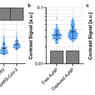 Experiments Demonstrating The Imaging Capability A Contrast Signal