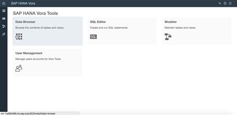 Combined Hana And Hadoop Olap Model Using Vora 1 3 Sap Community