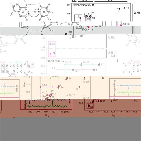 Schematic Structure And Sequence Of Xist Rna And Its A Repeats A Xist