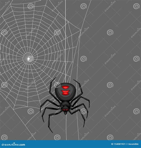 Spider Web Banner With Spiders And Bats Hanging Cobweb Background Vector Illustration