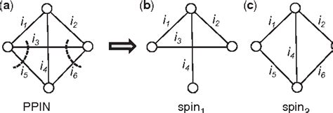 Figure 1 From Protein Complex Prediction Based On Simultaneous Protein Interaction Network