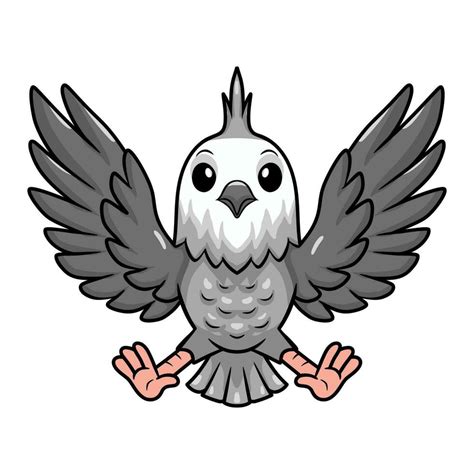 Cute Whiteface Cockatiel Bird Cartoon 27386809 Vector Art At Vecteezy