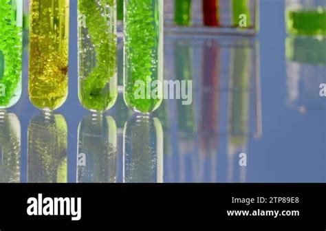 Algae Fuel Biofuel Industry Lab Researching For Alternative To Fossil
