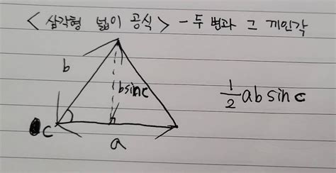 삼각형 넓이 공식 5가지 정리