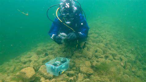 Jove Peer Reviewed Scientific Video Journal Methods And Protocols Research Videos