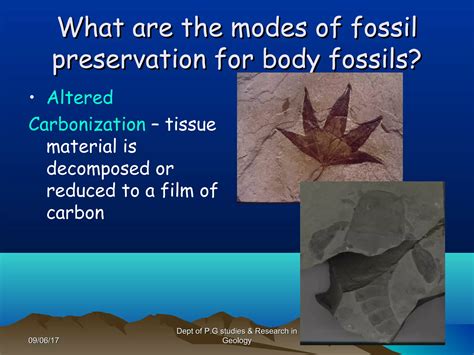 Fossils And Fossilization Ppt