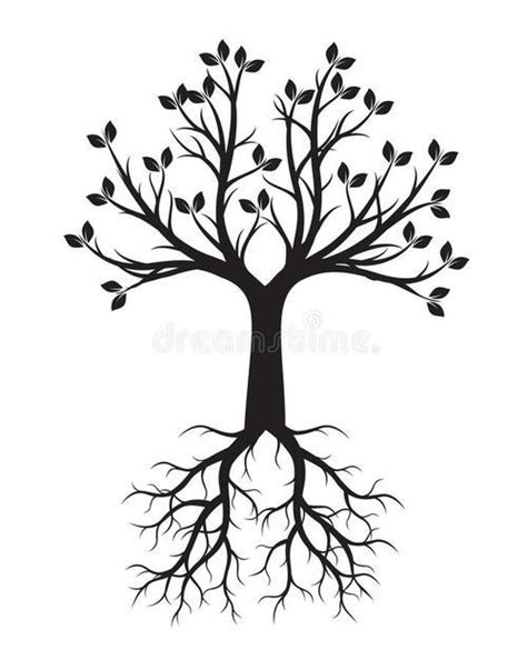 简笔画七种根 简笔画图片大全 普车都