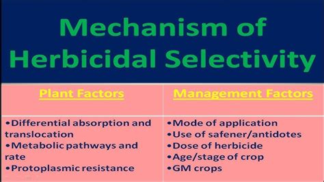 Factors Affecting Selectivity Of Herbicides