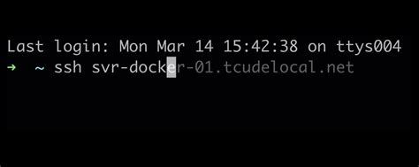 Zsh Autocompletion Flaviu Vlaicu 👾