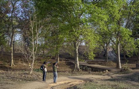 Riverwood Forest Retreat Instep Adventures