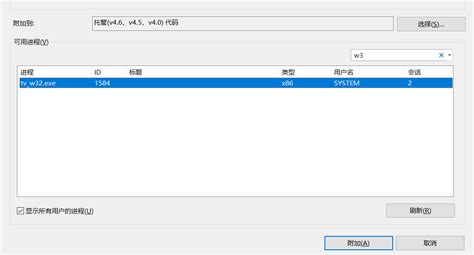 在vs 调试进程中找不到 w3wp exe 进程 csdn博客