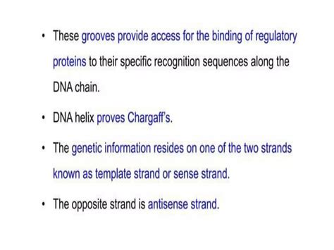 Nucleic Acids An Introduction PPT