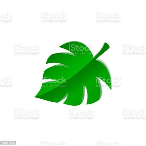 Trandy 종이에 열 대 Monstera 잎 컷 스타일 크 래 프 트 여름 패키지 디자인에 대 한 흰색 배경에 고립 된 정글 식물 T셔츠 인쇄 자른 아트 스타일에 벡터