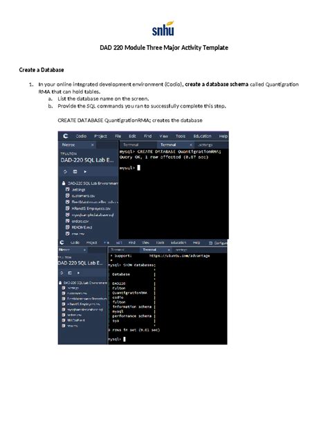 DAD Module Three Major Activity Template DAD Module Three Major Activity Template