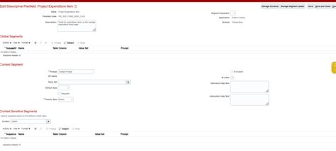 descriptive flexfield attribute6 is missing — cloud customer connect